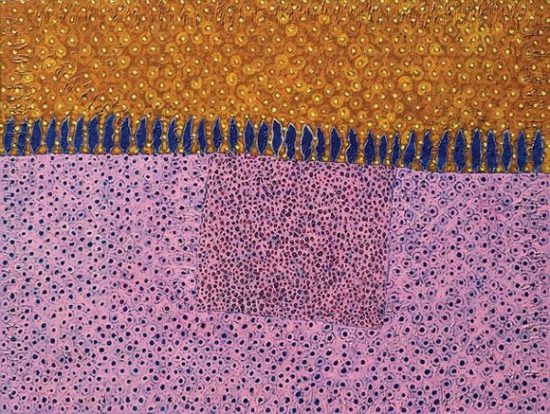 Yadid Rubin: Plowed Color at the Tel Aviv Museum of Art | Museum Publicity